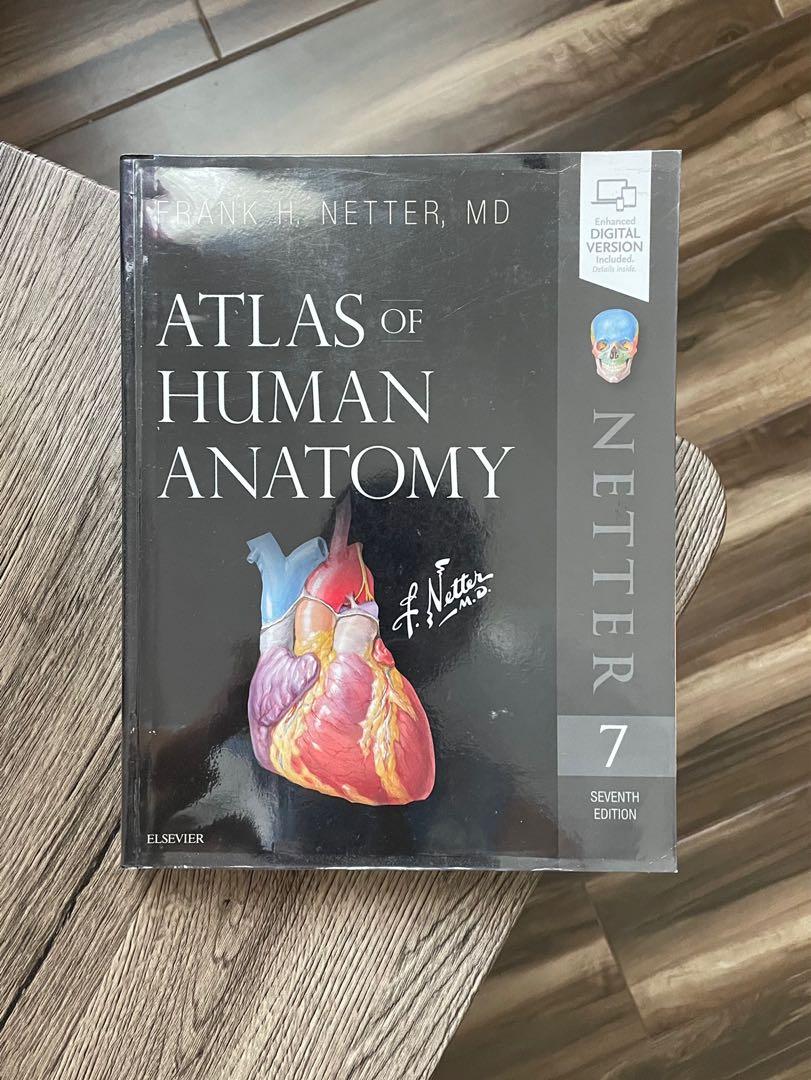 Netter's Atlas of Human Anatomy 7th Edition, Hobbies & Toys, Books ...
