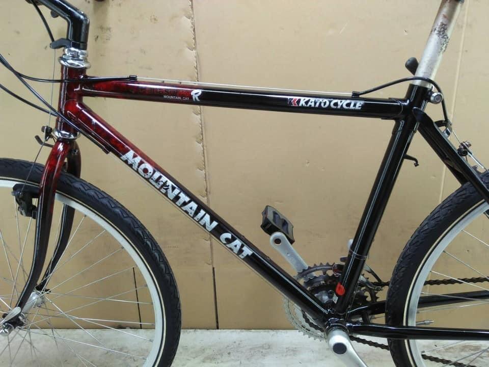 Panasonic mountain cat R, Sports Equipment, Bicycles & Parts, Bicycles on Carousell