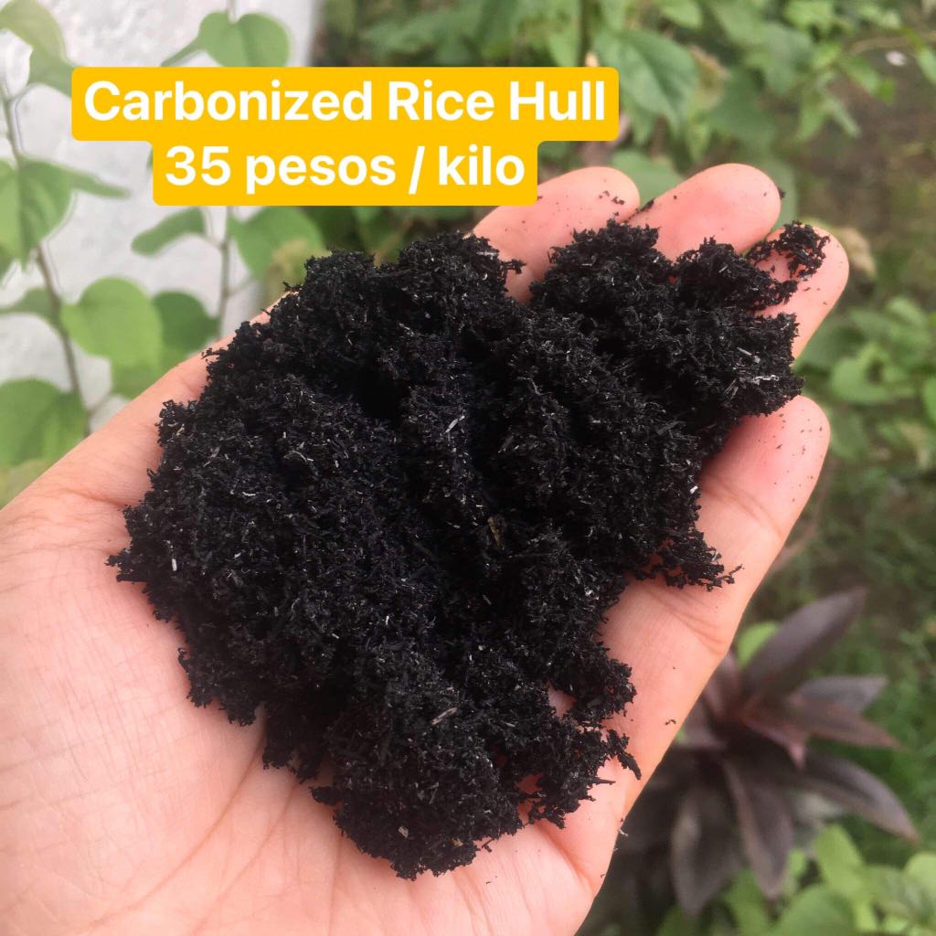 Carbonized Rice Hull, Furniture & Home Living, Gardening, Soil ...