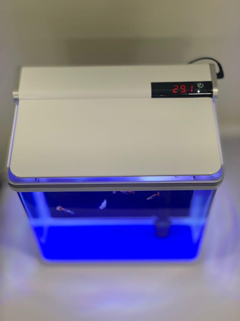 SOBO fish tank, Pet Supplies, Homes & Other Pet Accessories on Carousell