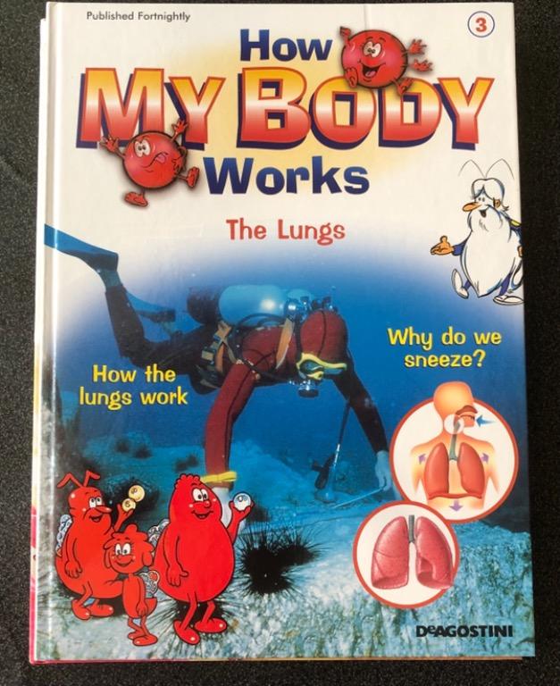 How My Body Works (4Vol.), Hobbies & Toys, Books & Magazines, Children ...