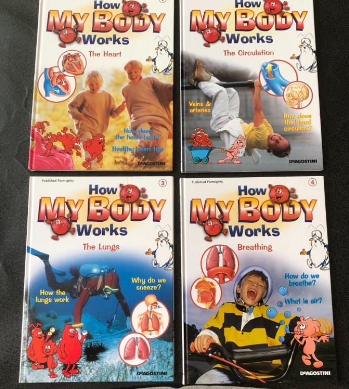 How My Body Works (4Vol.), Hobbies & Toys, Books & Magazines, Children ...