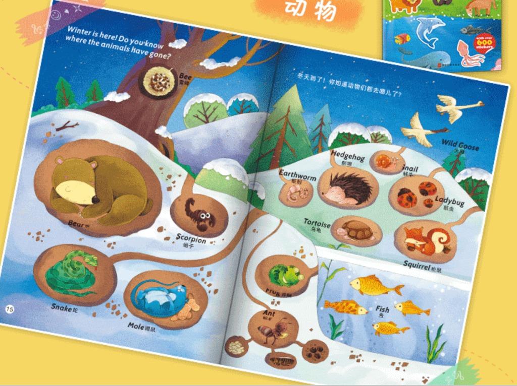 A4 Size Bilingual Vocabulary English and Chinese Sticker Book Set with ...