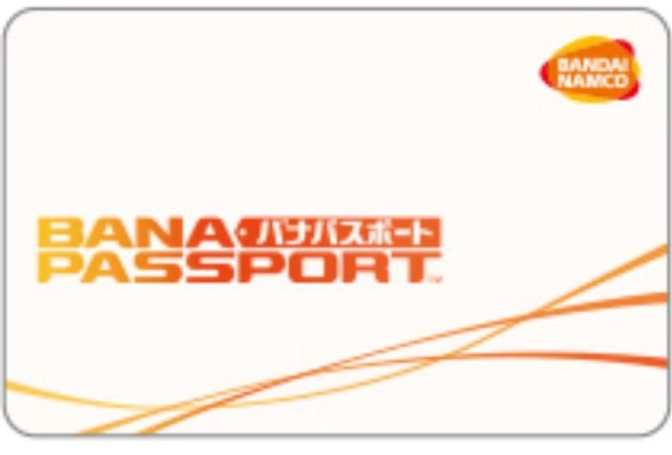 Banapassport card copy clone backup only, Video Gaming, Gaming ...