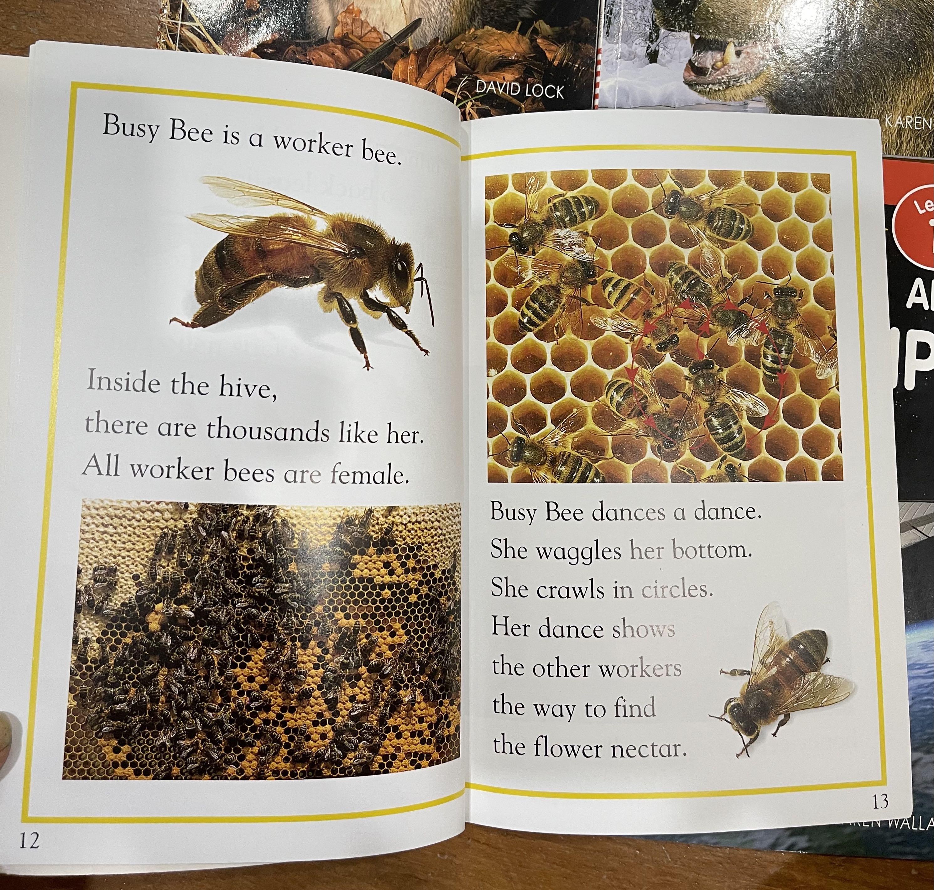 DK science readers level 1, Hobbies & Toys, Books & Magazines, Children ...