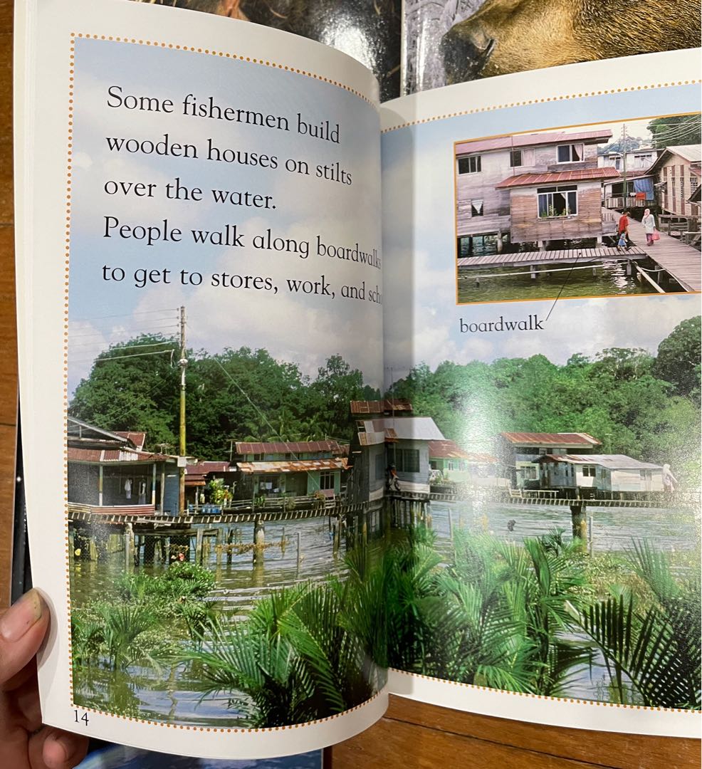 DK science readers level 1, Hobbies & Toys, Books & Magazines, Children ...