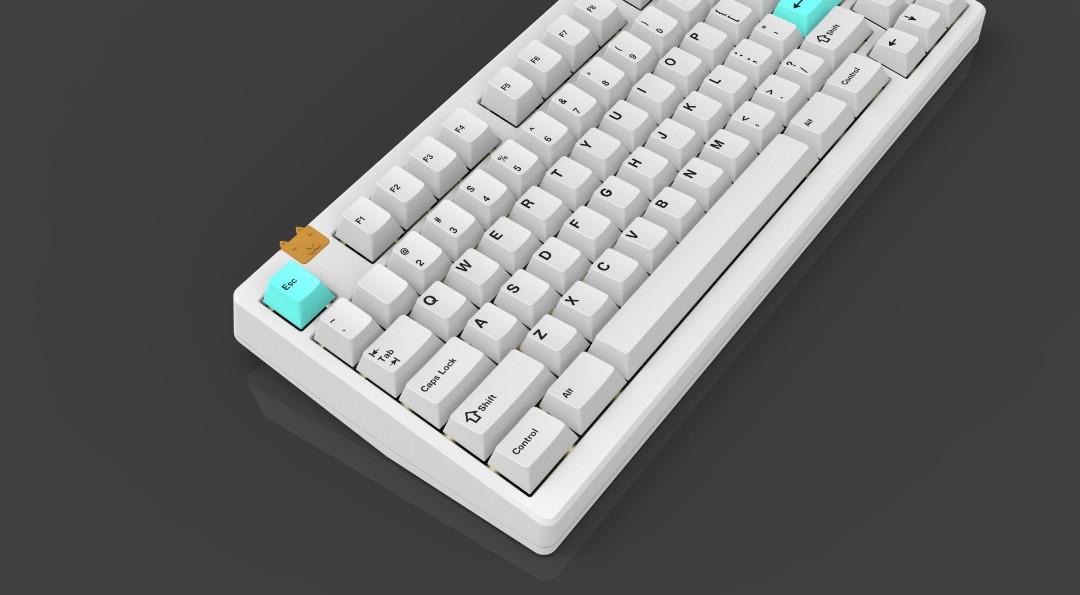 KBDFANS Bella 75 Brand New, Computers & Tech, Parts & Accessories ...