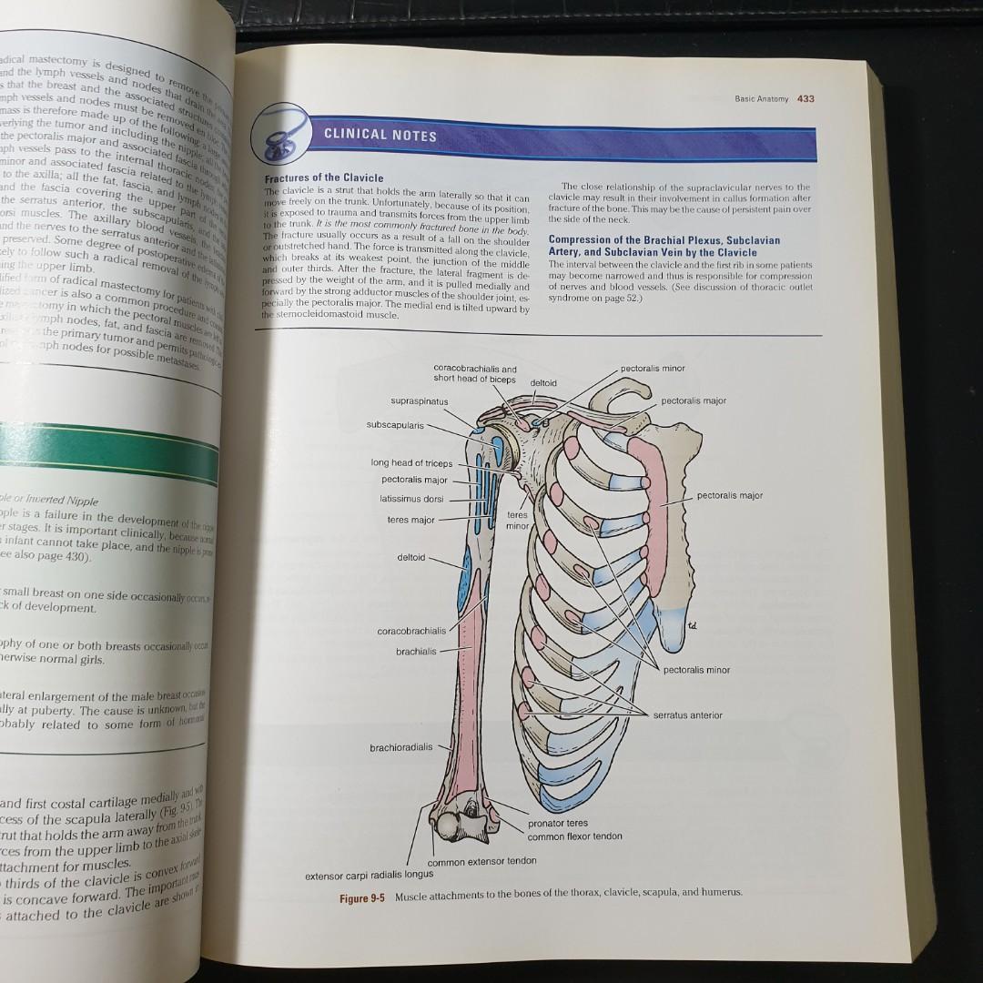 Snell's Clinical Anatomy by Regions 8th Edition (Original), Hobbies ...