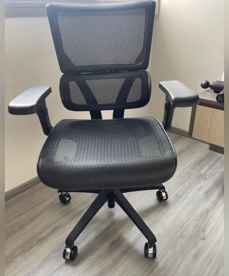 Ergotune Classic Ergonomic office chair, Furniture & Home Living ...