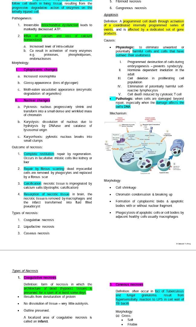 General Pathology Medical Notes for MBBS, Hobbies & Toys, Books ...