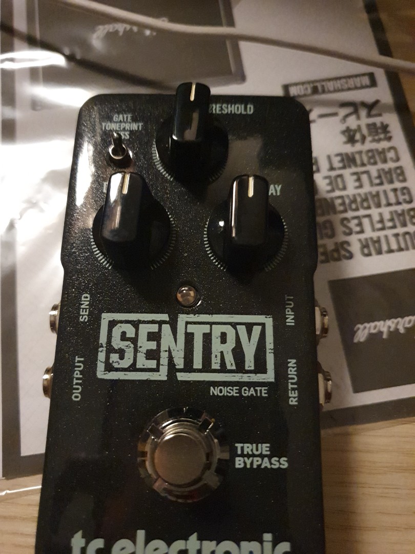 TC Electronic Sentry Gate, Hobbies & Toys, Music & Media, Musical ...