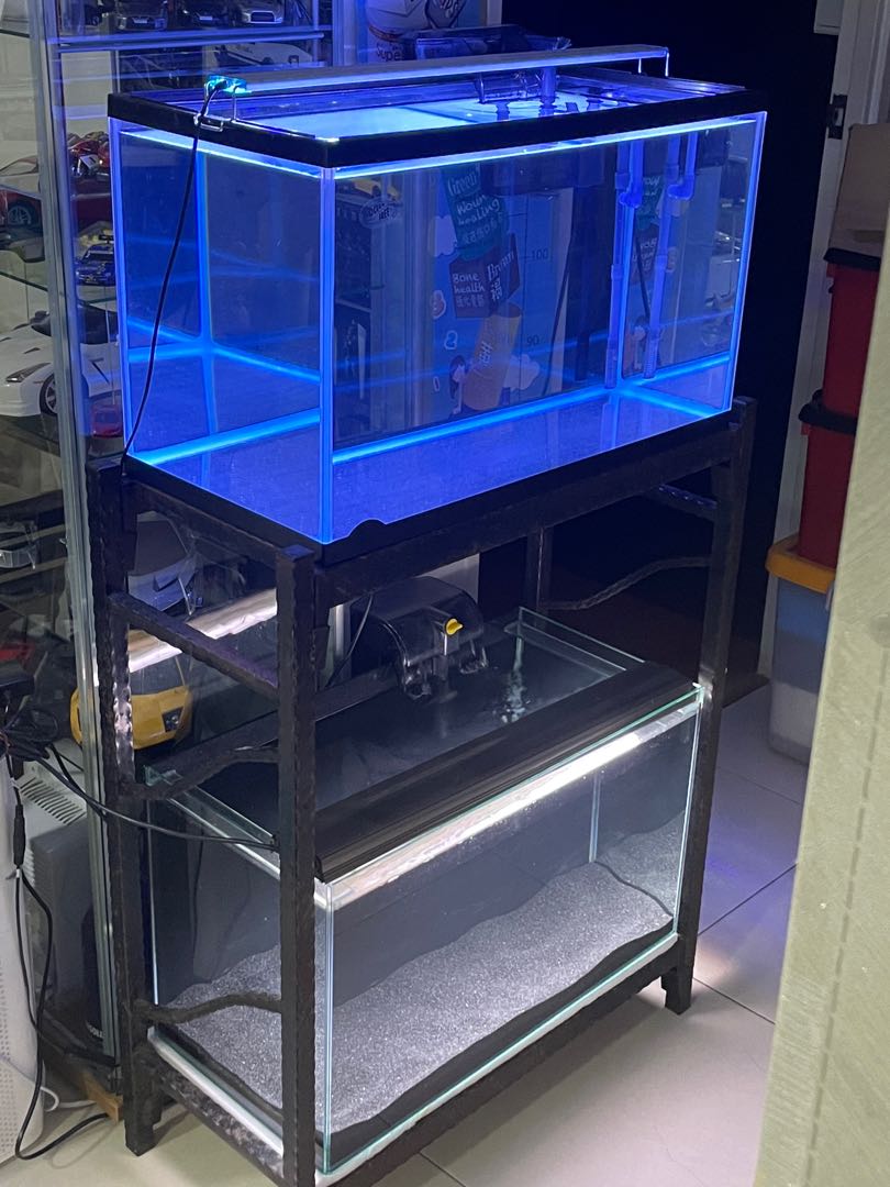 2 ft tank with stand, Pet Supplies, Homes & Other Pet Accessories on ...