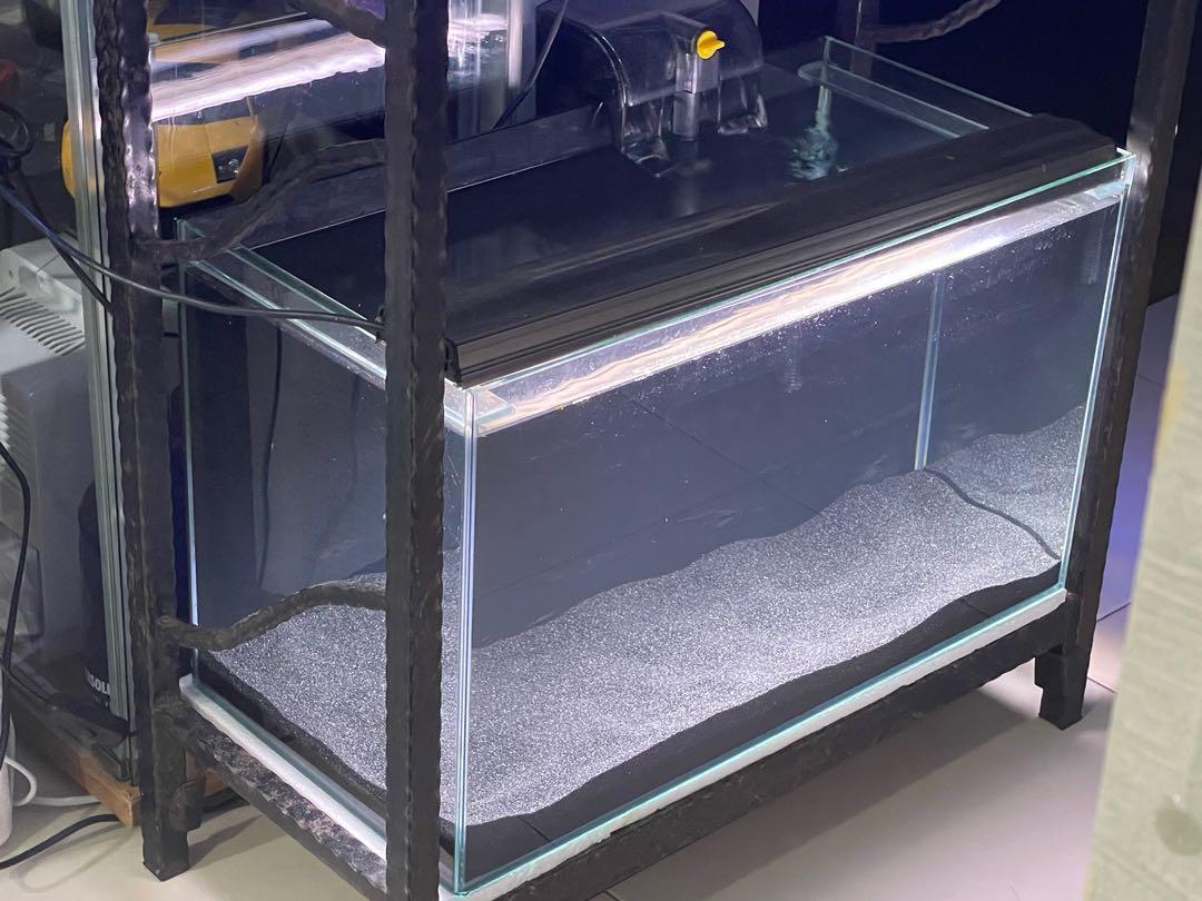 2 ft tank with stand, Pet Supplies, Homes & Other Pet Accessories on ...