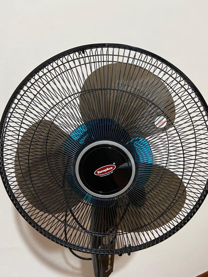 EuropAce double blade fan, TV & Home Appliances, Other Home Appliances ...