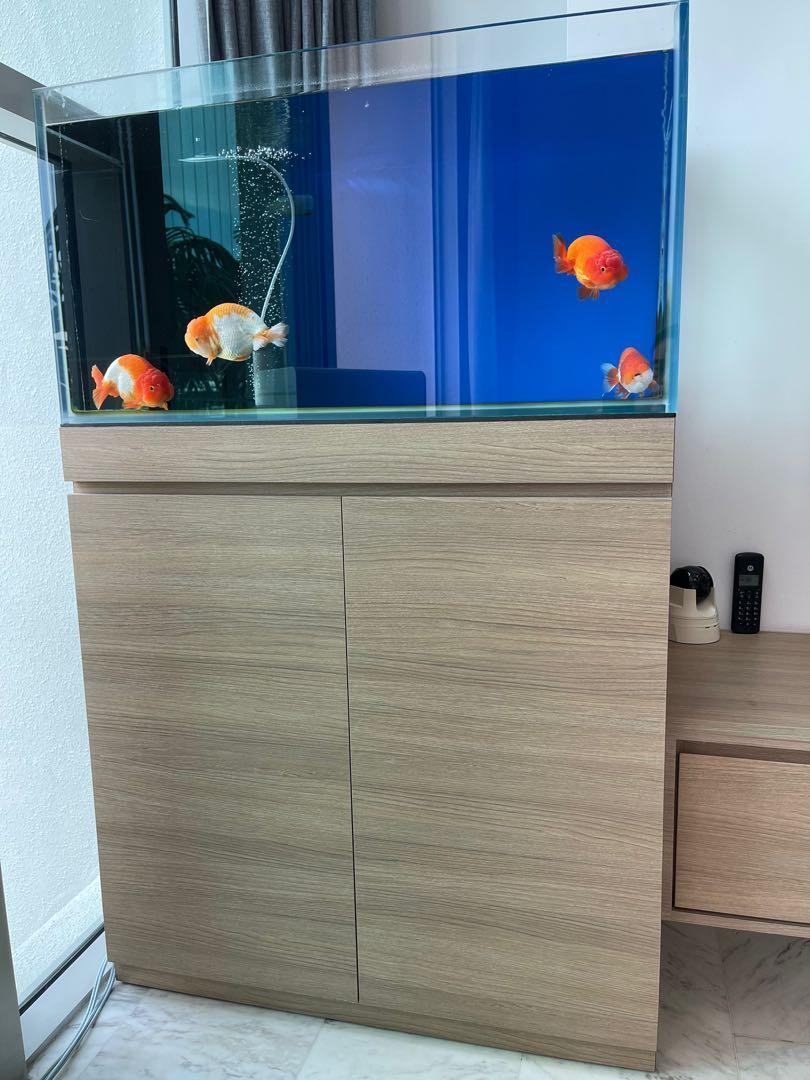 Custom Fish Tank with Sump and cabinet , Pet Supplies, Homes & Other ...