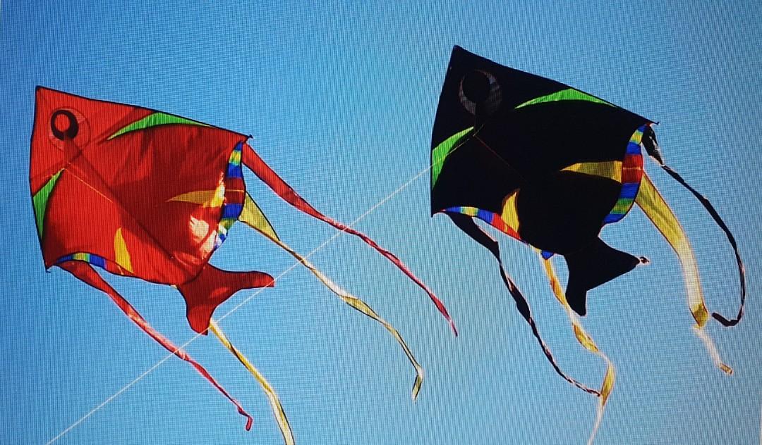 Giant Angel Fish Kite, Hobbies & Toys, Toys & Games on Carousell