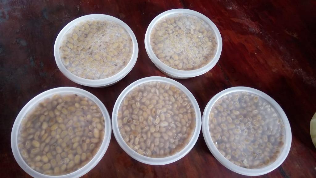 Natto ( fermented and organic ) we deliver, Food & Drinks, Other Food ...
