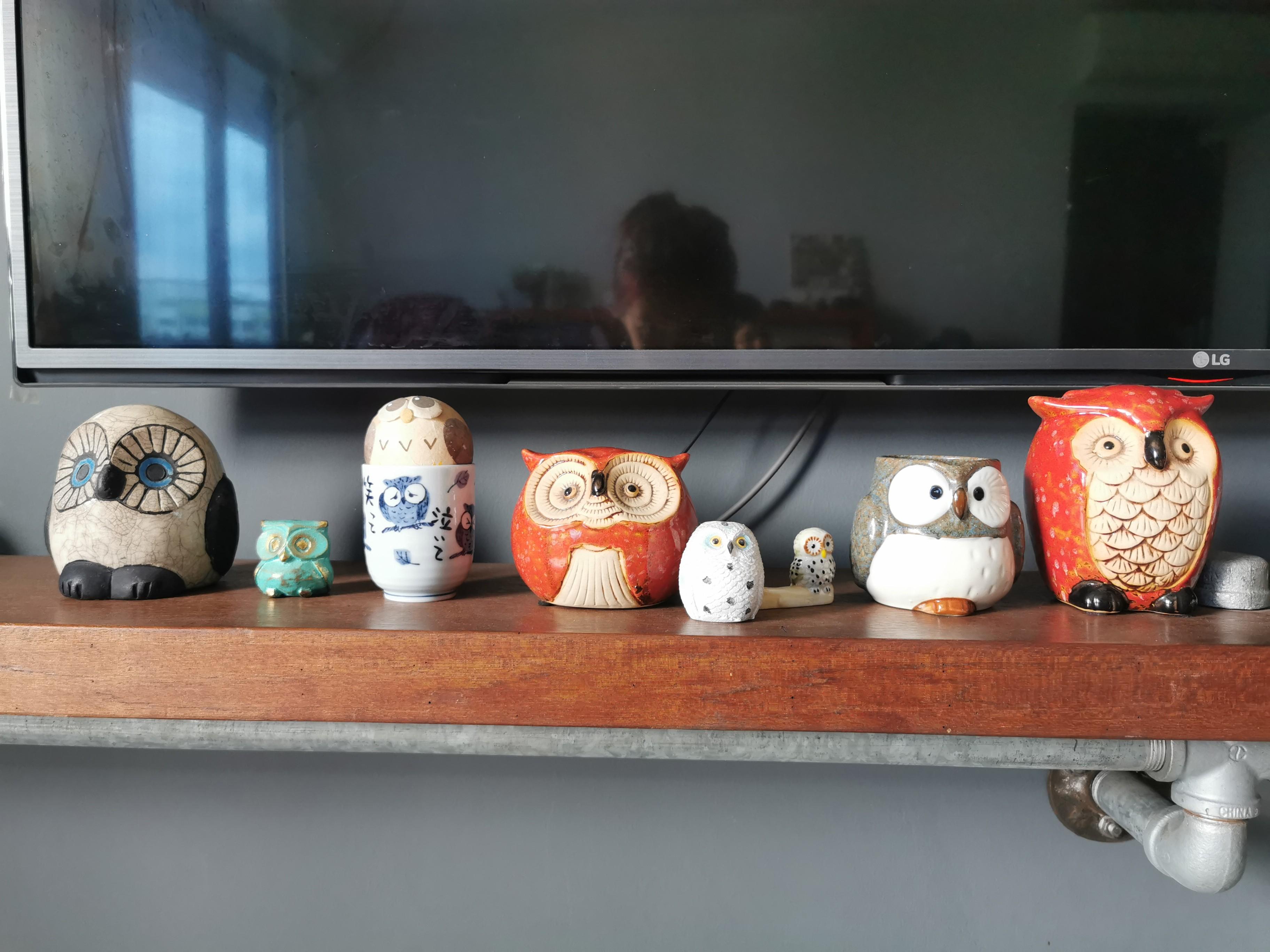 Owls from various diff countries, Furniture & Home Living, Home Decor ...