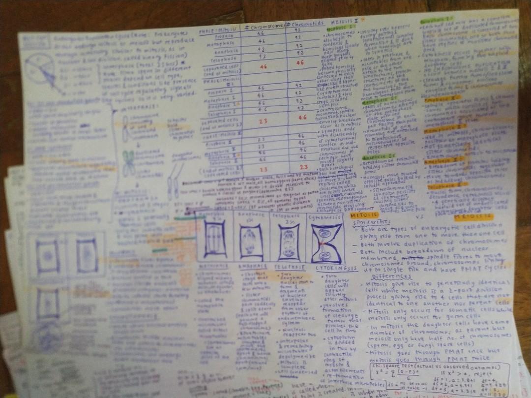 Cheatsheets from University (Science, Math, Engineering, etc.), Hobbies ...
