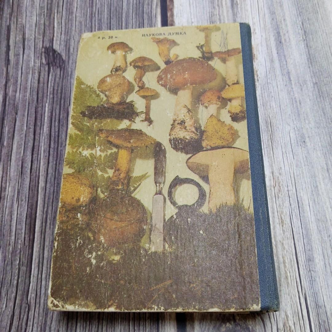 1987 古董 蘇聯 蘑菇 菌菇 菌類 食用菇 蘑菇圖鑑 菌菇圖鑑 老書 早期 古書, 書籍、休閒與玩具, 收藏、紀念品, 其他古董在旋轉拍賣