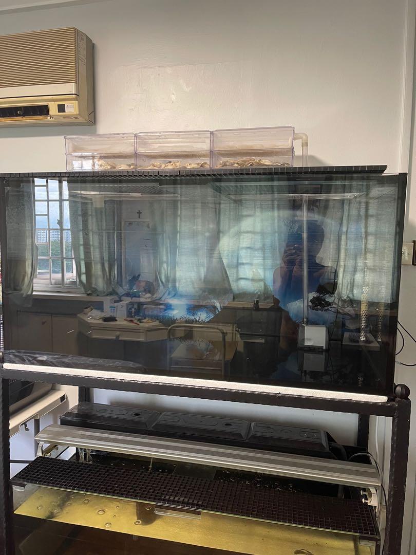 4x2x2 tank 4feet tank with overhead trays and pump, Pet Supplies, Homes ...