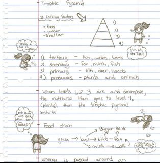 Sec 2 notes (science), Hobbies & Toys, Books & Magazines, Assessment ...