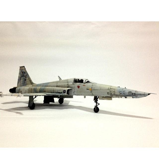 1/48 RF-5E Tigereye TigerII, Malaysian Air Force TUDM RMAF, AFV Club Built and painted plastic ...