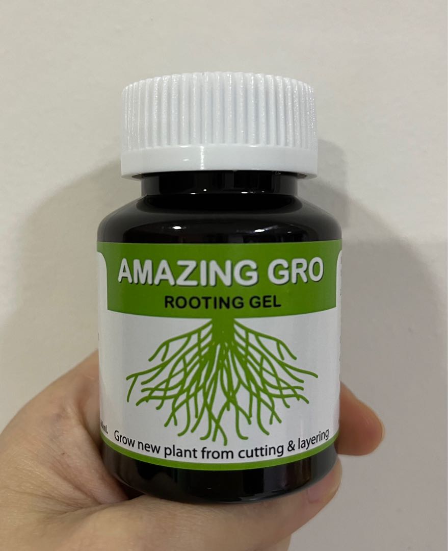 Amazing Gro rooting gel 60ml, Furniture & Home Living, Gardening ...
