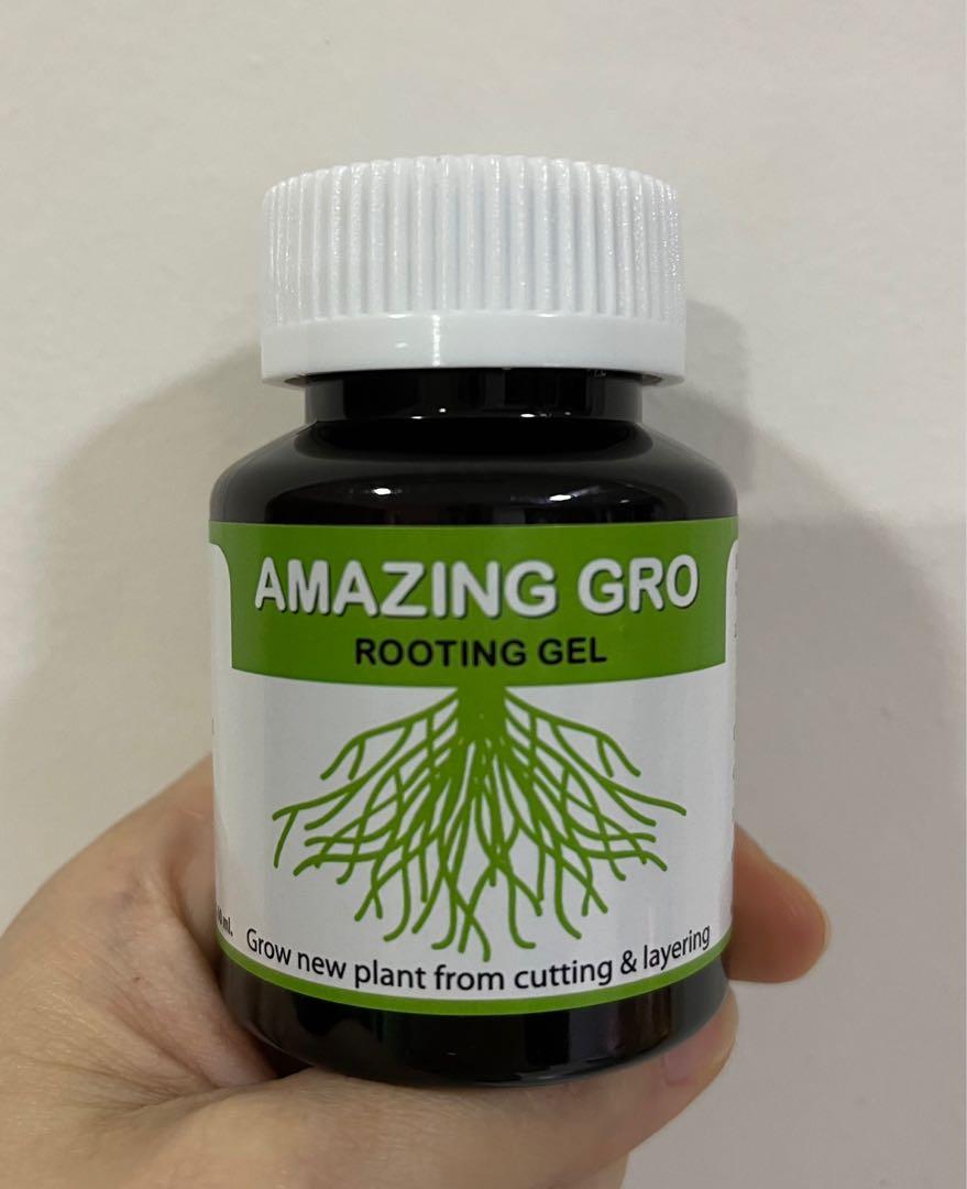 Amazing Gro rooting gel 60ml, Furniture & Home Living, Gardening ...