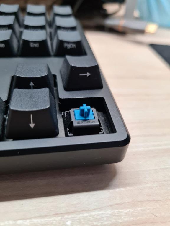 Ducky One (Side-Print) TKL Mechanical Keyboad (MX BLUE SWITCH ...
