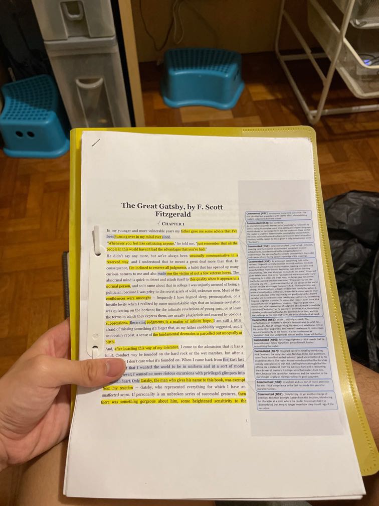 Fully annotated The Great Gatsby book, Hobbies & Toys, Books ...