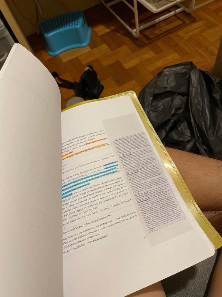 Fully annotated The Great Gatsby book, Hobbies & Toys, Books ...