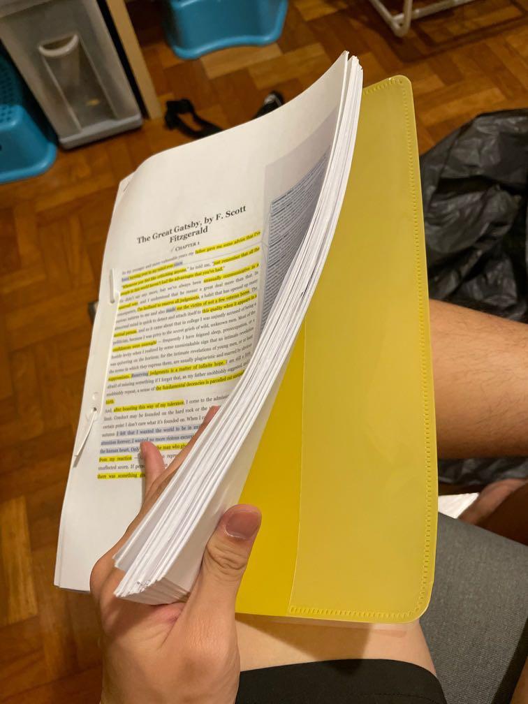 Fully annotated The Great Gatsby book, Hobbies & Toys, Books ...