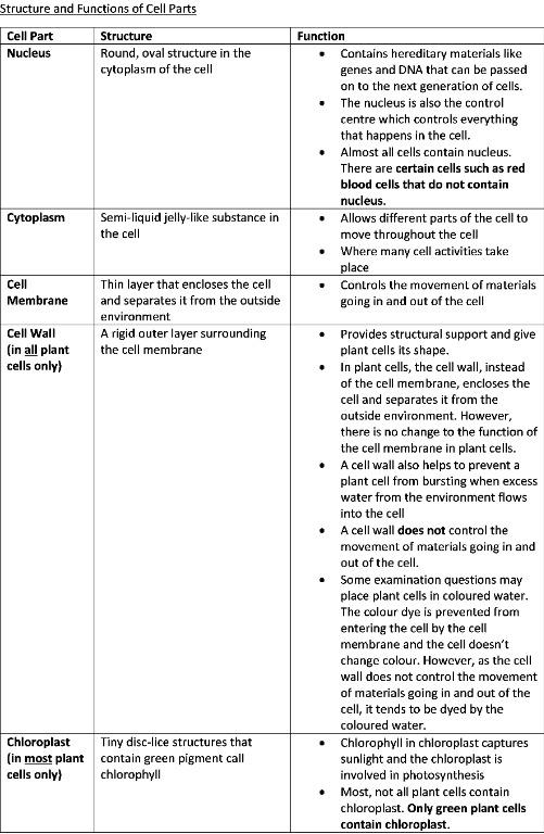 Score AL1 for P5 & P6 PSLE Science | Study Notes & Practice Papers ...