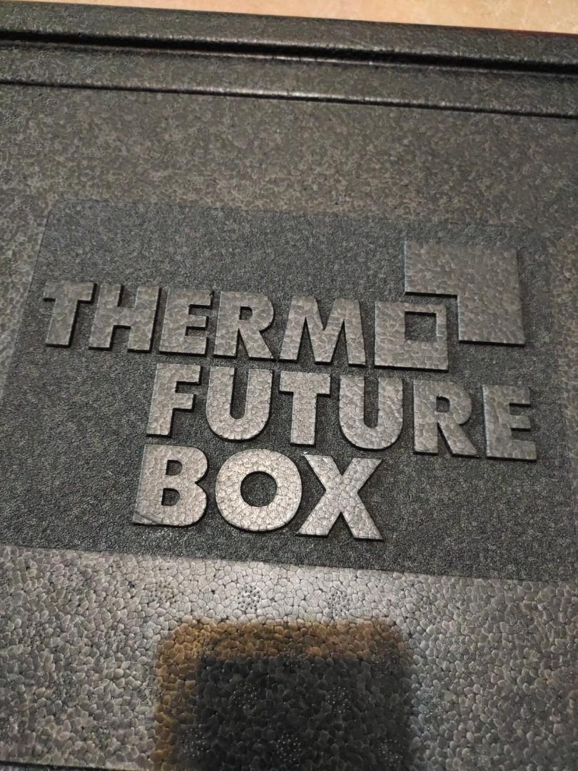 Thermo Future Box, Furniture & Home Living, Kitchenware & Tableware ...