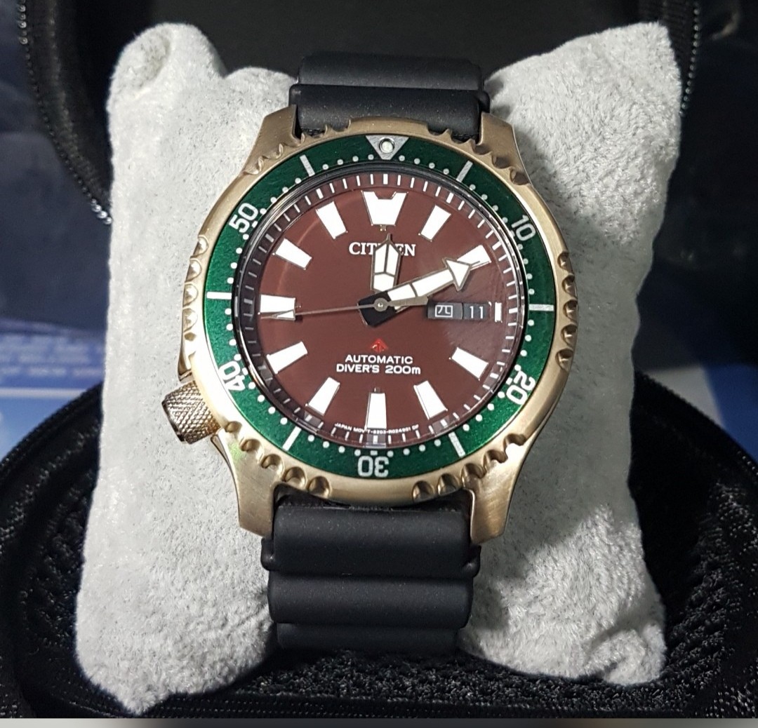 Citizen Promaster limited edition NY008, Luxury, Watches on Carousell