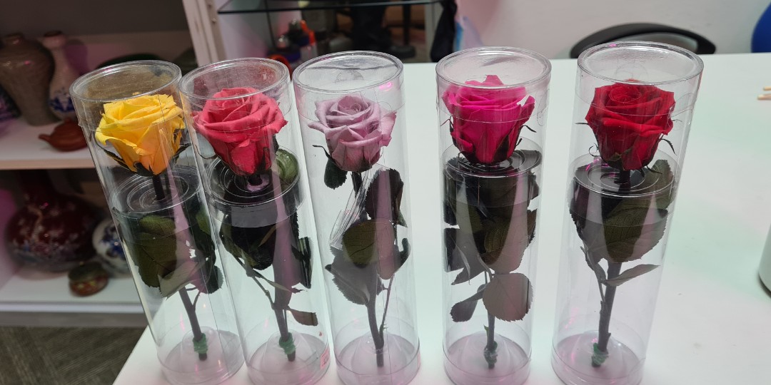 Hydrogen Freeze Roses, Everything Else on Carousell