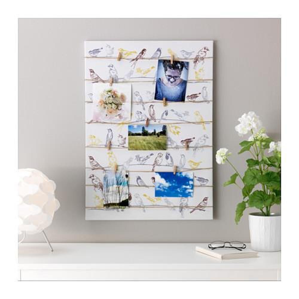 IKEA PJÄTTERYD Bird Poster/Photo Display, Furniture & Home Living, Home ...