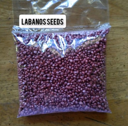 (FOR SALE) Labanos Seeds Vegetables available 100 Seeds per pack ...