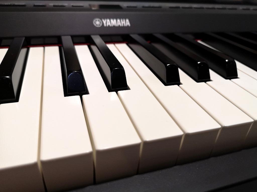 Yamaha P255 Portable Digital Piano, Hobbies & Toys, Music & Media ...