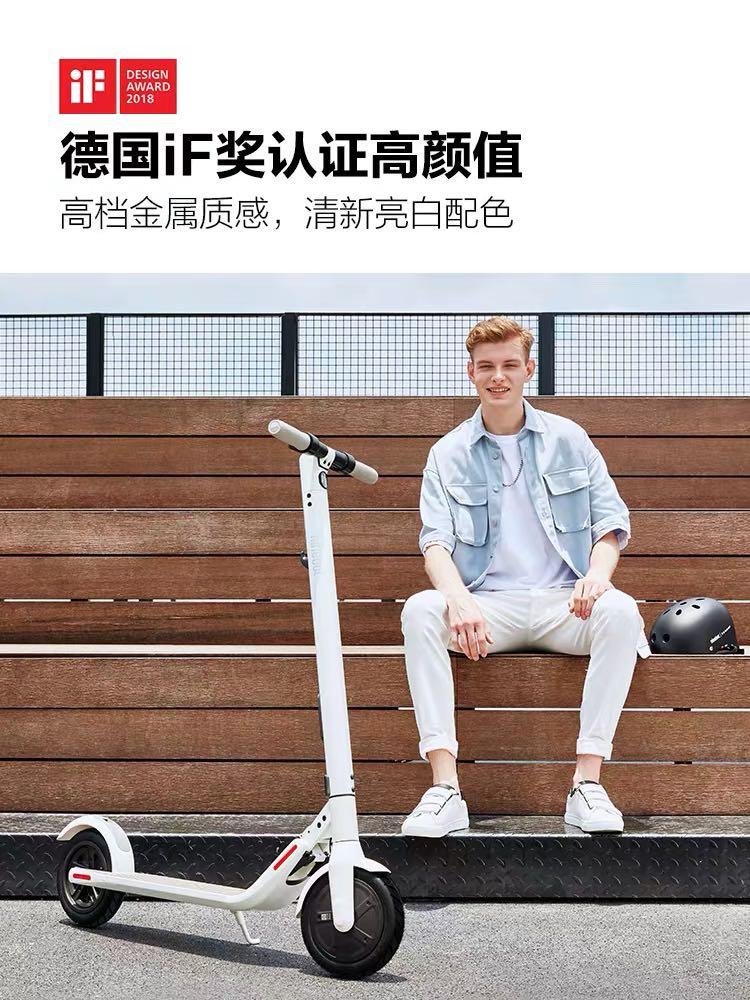 Ninebot E22 PMD E-Scooter with seat, Sports Equipment, PMDs, E-Scooters ...