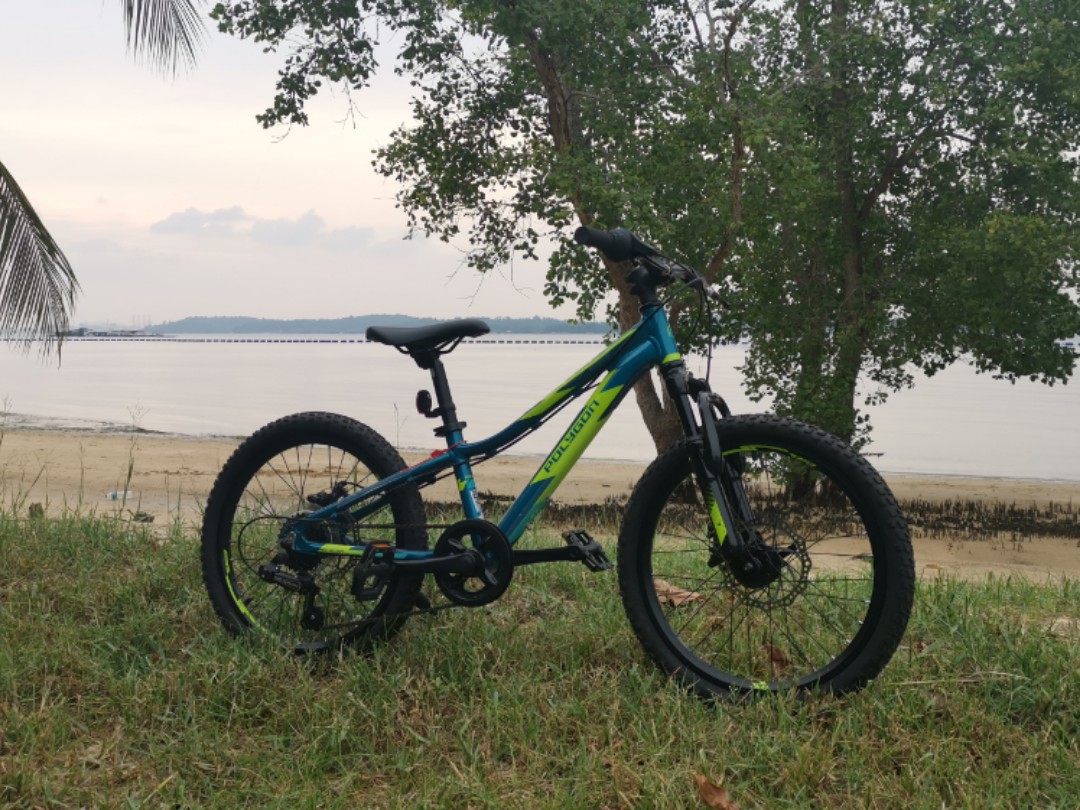 Polygon Relic 20, Sports Equipment, Bicycles & Parts, Bicycles on Carousell