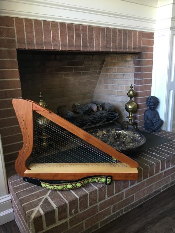 Harpsicle Harps Students Instalment Payment Plan, Hobbies & Toys, Music ...