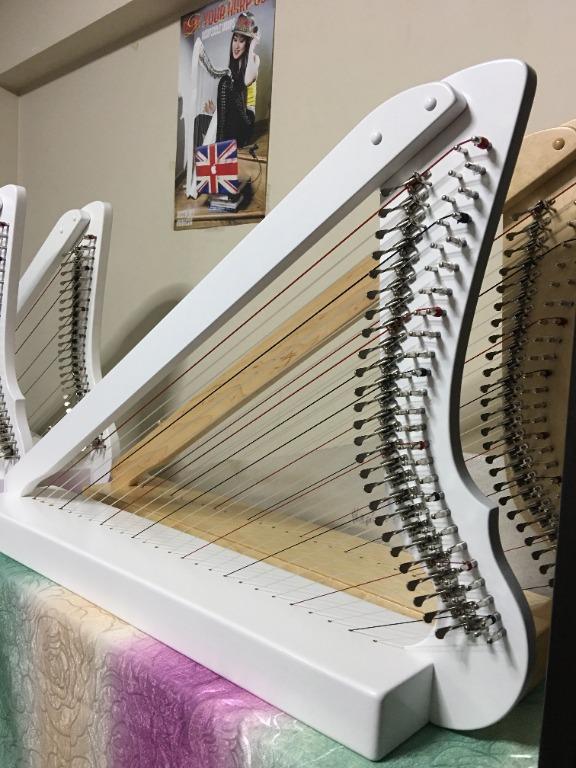 Harpsicle Harps Students Instalment Payment Plan, Hobbies & Toys, Music ...