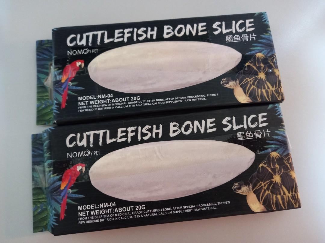 Cuttlefish Bone Slice, Pet Supplies, Pet Food on Carousell