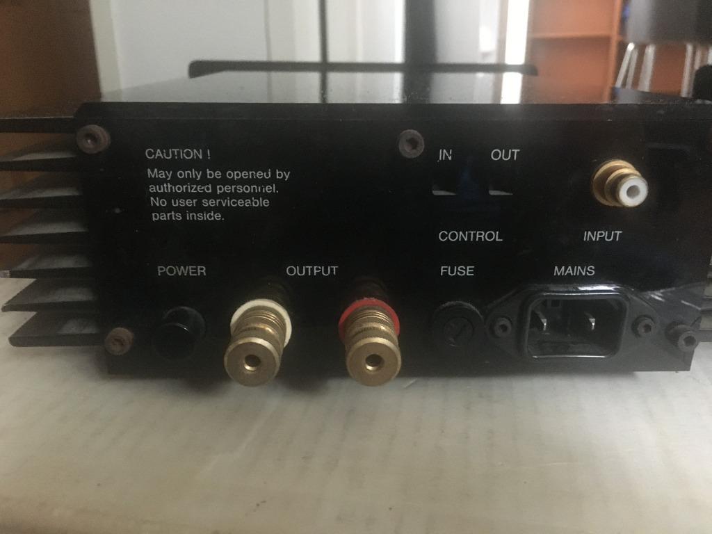 Siltech Sphinx Project 12 monobloc amplifiers, Audio, Soundbars ...