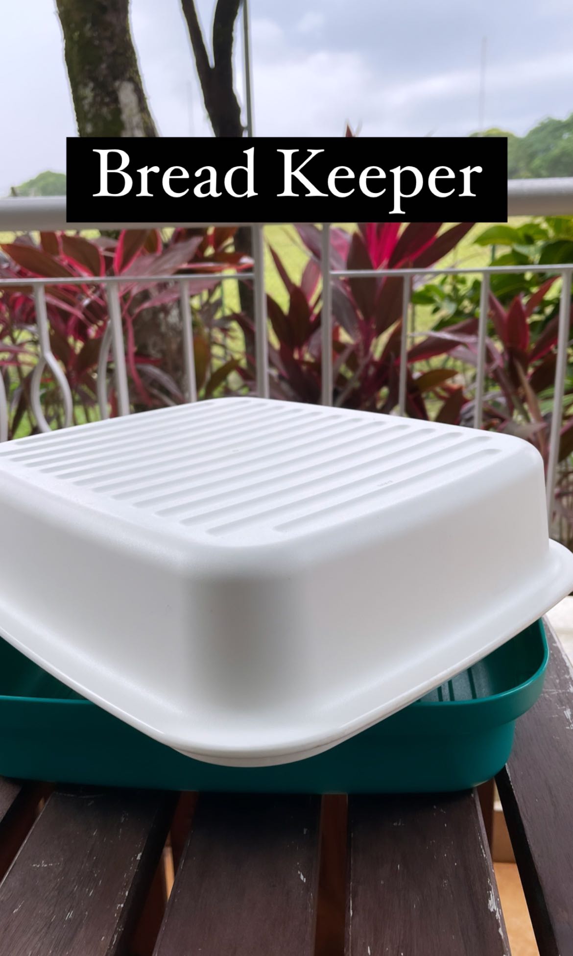 Tupperware Bread Keeper, Furniture & Home Living, Kitchenware ...