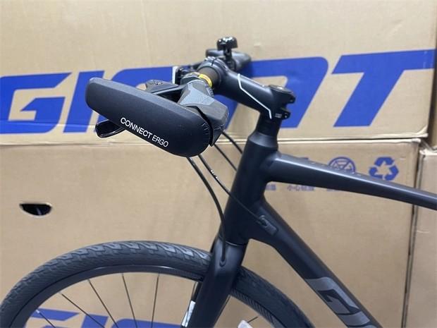 2022 Giant Revolt-F1 (Fastroad SL1) Gravel Bicycle [CHEAPEST IN ...