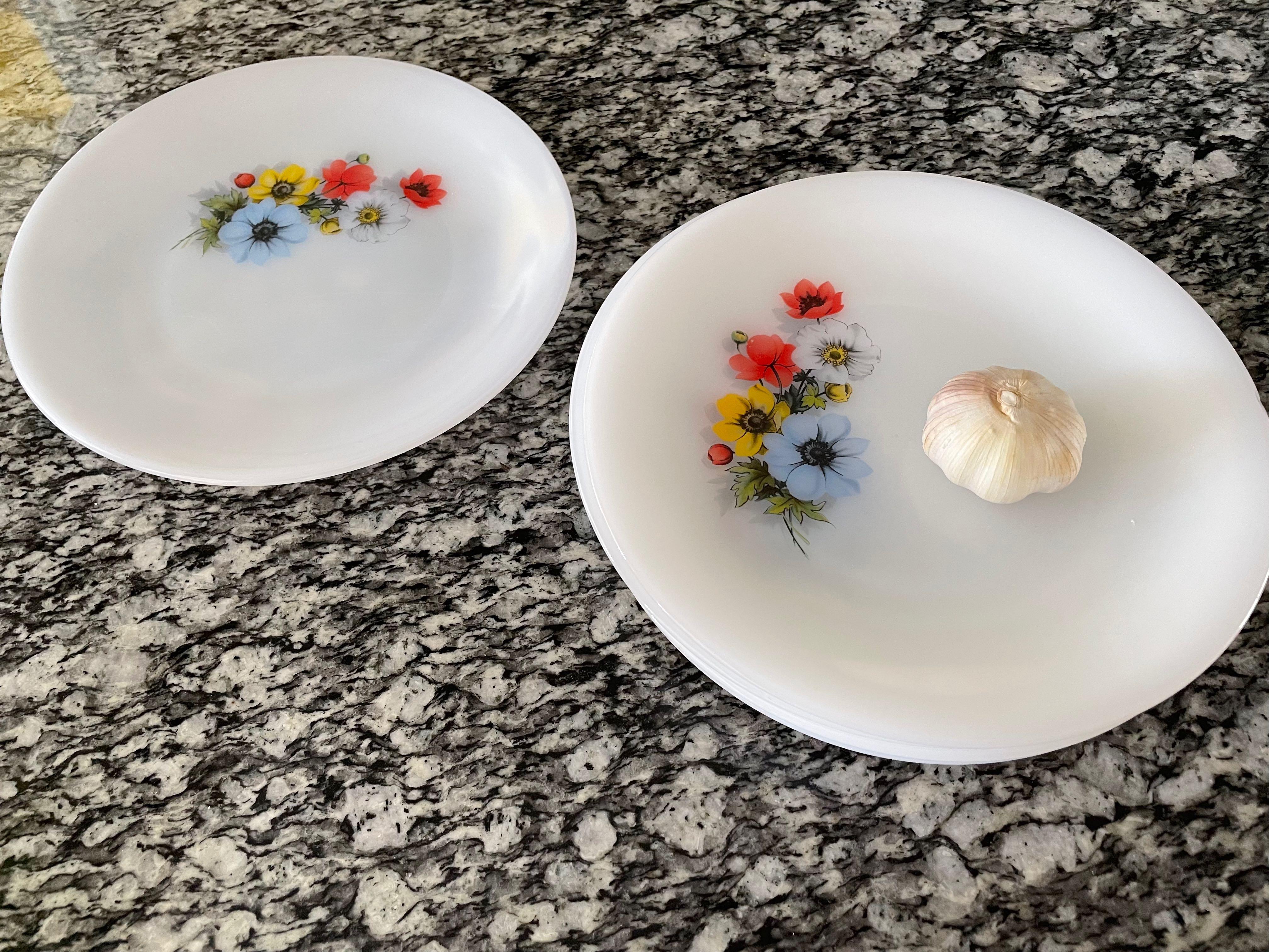 French Arcopal Dinner Plates, Furniture & Home Living, Kitchenware ...