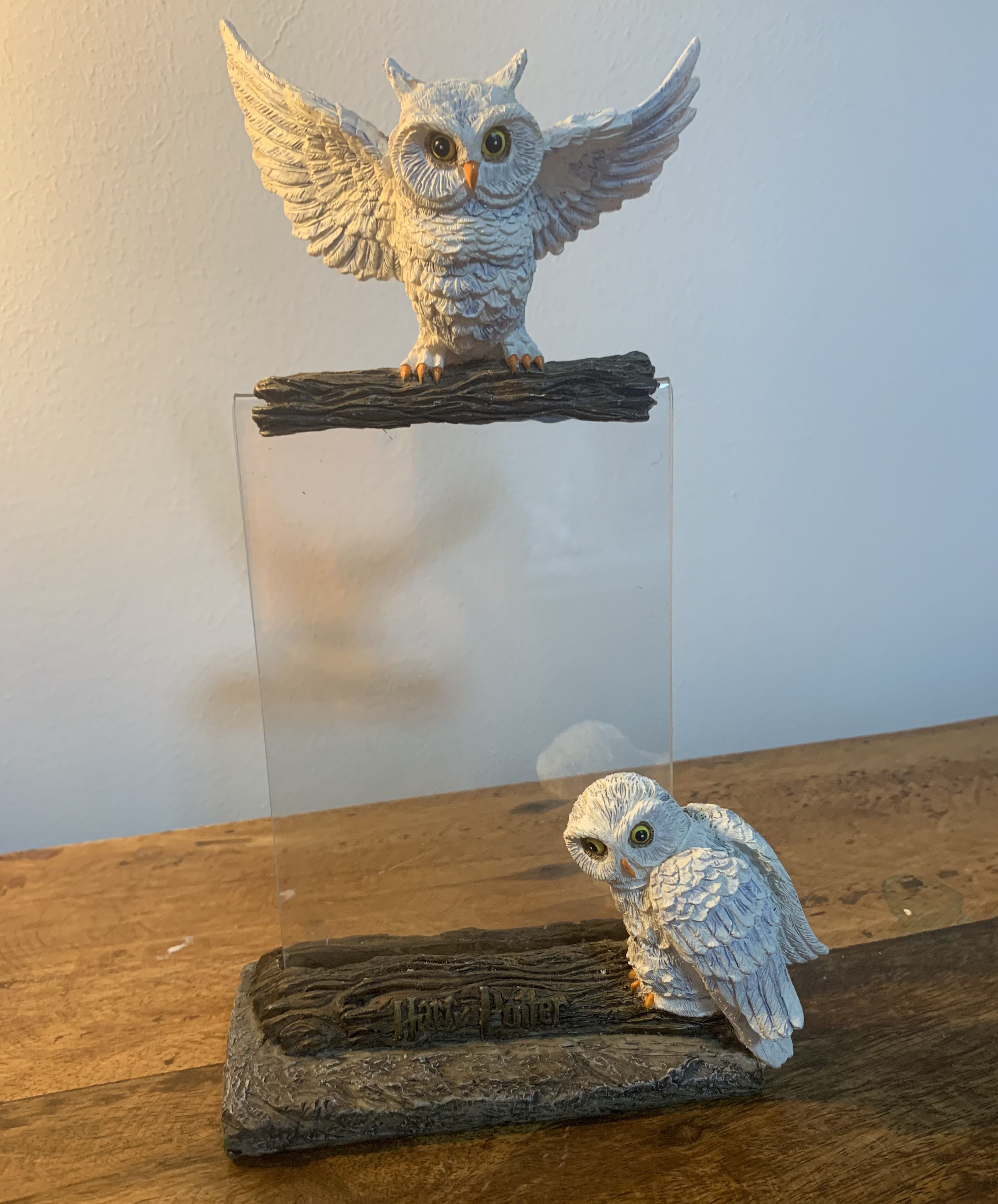 Harry Potter Picture Frame, Furniture & Home Living, Home Decor, Frames ...